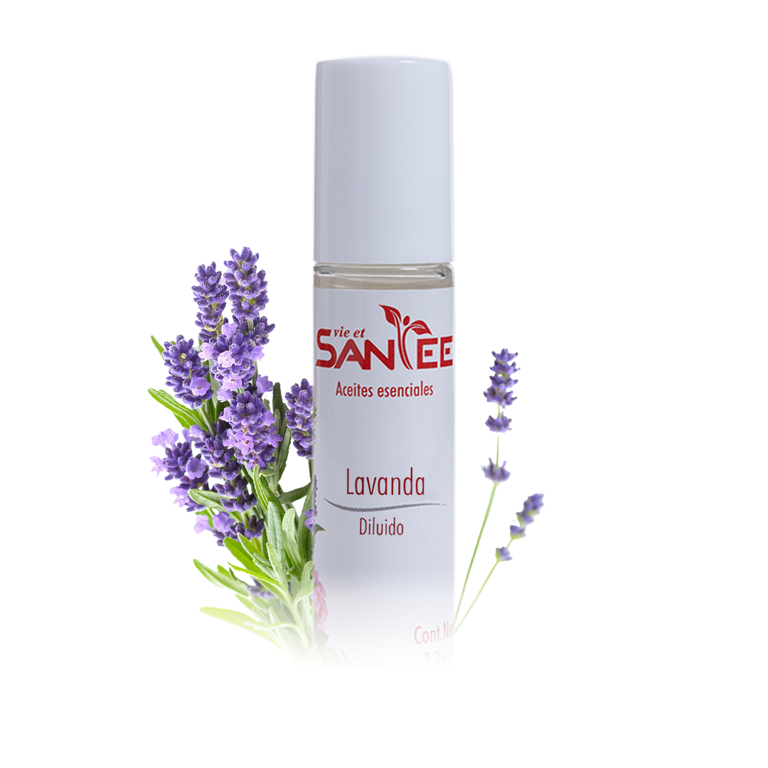 Aceite Diluido de Lavanda 13 ml- Armonía y relajación. – vieetsantee