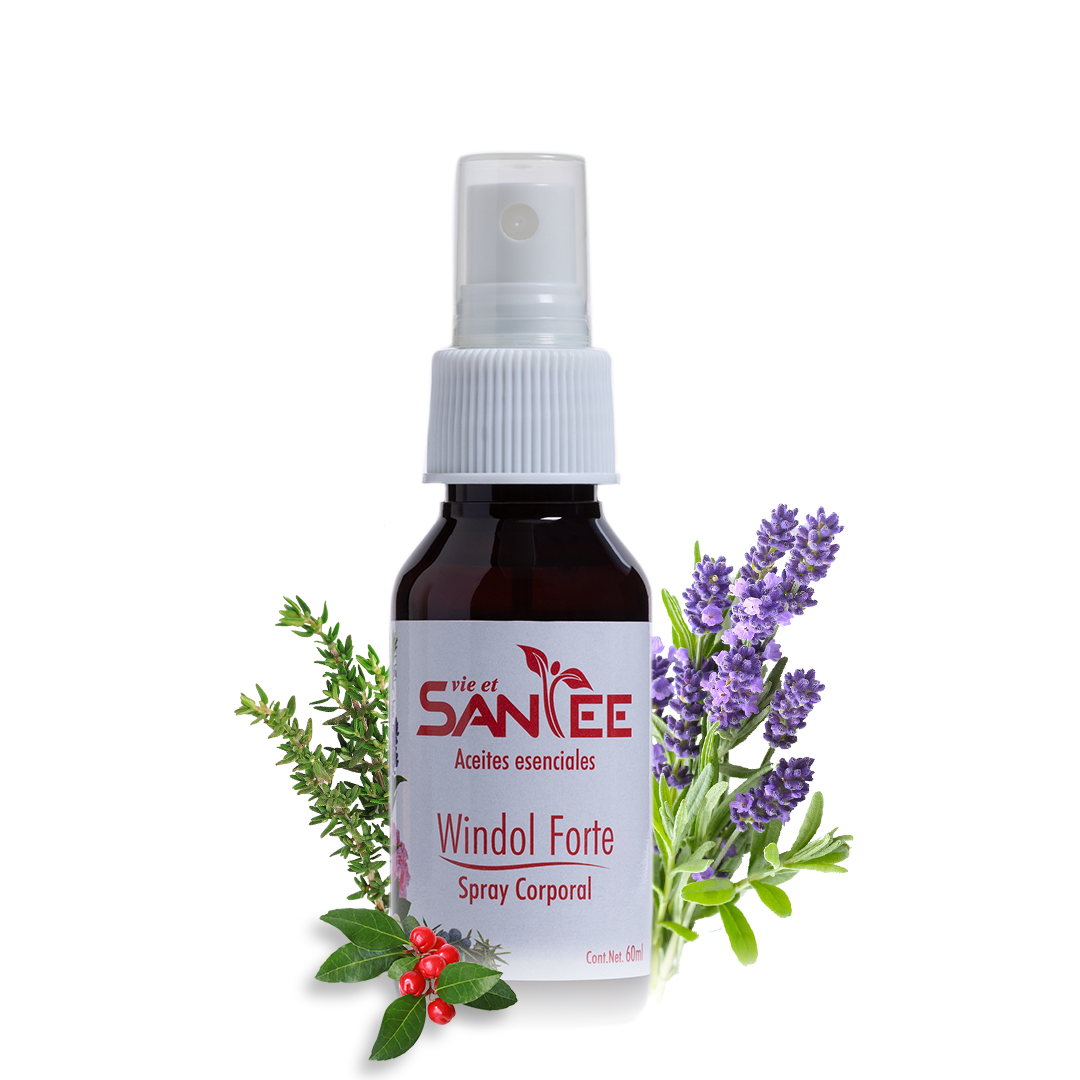 Spray WinDol Forte 60ml- No más dolor por tensión o inflamación ...
