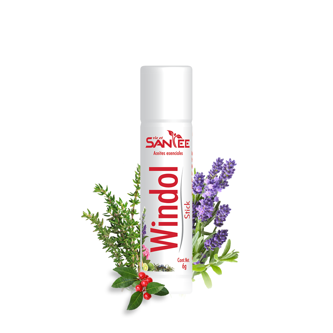 Stick WinDol 6g- No más dolor por tensión o inflamación. – vieetsantee